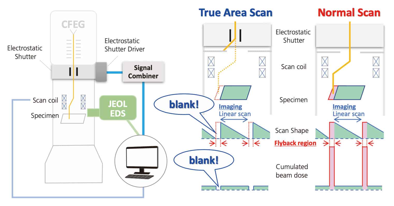 EDS True Area Scan - IDES Inc.